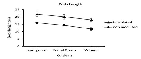 Interaction Effect Of Rhizobium Inoculation And Cultivars On Pods Download Scientific Diagram