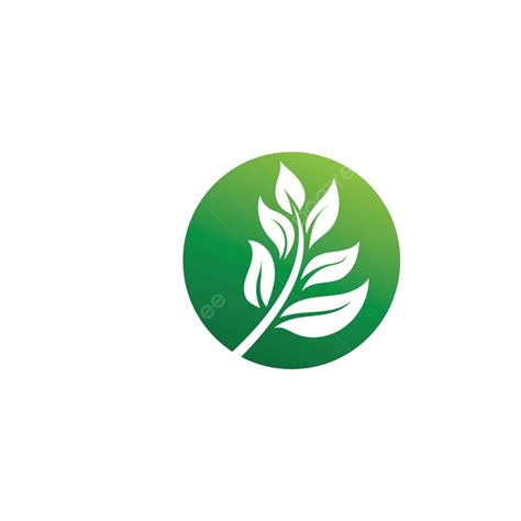 Logo Ekologi Daun Pohon Hijau Ekologi Logo Pohon Keluarga Vektor