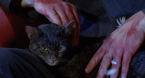 Stagefright 1987