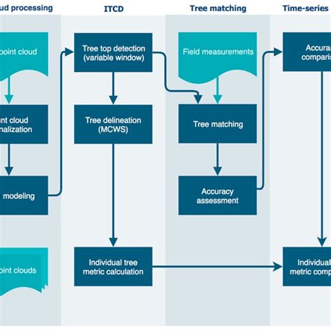 conceptual workflow detailing the methodological process used for point