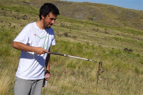 Global Snake Conservation Save The Snakes