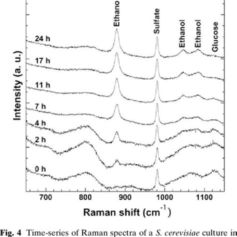 Pdf In Situ Monitoring Of Alcohol Fermentation By Saccharomyces Cerevisiae Under High Pressure