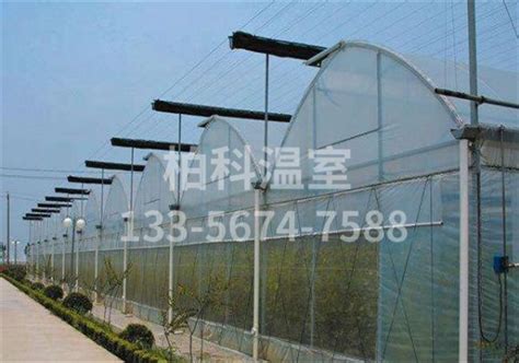 山东柏科阿姆农业科技开发有限公司连栋薄膜大棚智能温室蔬菜大棚玻璃温室建设日光花卉温室大棚设计施工厂家