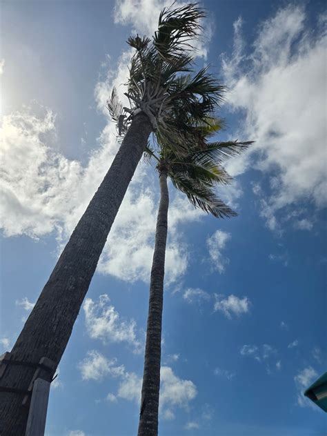 Tina Daubenberger Added A New Photo — Tina Daubenberger