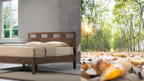 the best sex top 10 mattress features picketandrail custom sofas