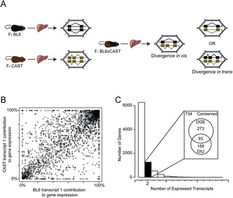 Divergent Isoform Usage Diu Between Closely Related Mouse