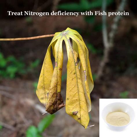 Fish Derived Protein Hydrolysate Organic Fertilizer Plant Biostimulant