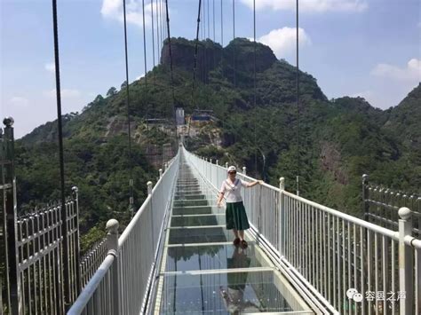 容县都峤山玻璃桥图片 容县玻璃桥在哪个景区 广西容县都峤山风景区 大山谷图库
