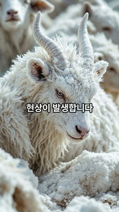 세계에서 가장 기이한 호수 나트론 호수 나트론호수 자연의신비 무서운호수 흥미로운자연 극한환경 재미있는지식 세계의