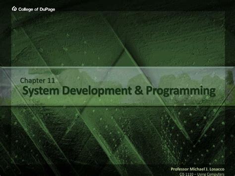 Ppt System Development And Programming Powerpoint Presentation Free
