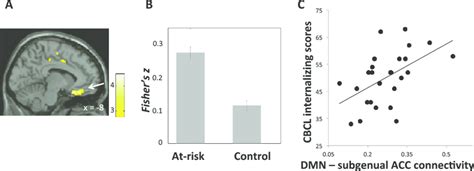 A Region In Subgenual Anterior Cingulate Cortex Accorbitofrontal