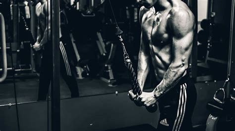Les 4 Types De Contraction Musculaire Fitness Life