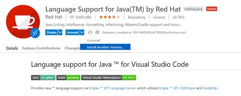 After Upgrade From Vscode Java V0 77 0 To V0 78 0 Can T Debug Tests