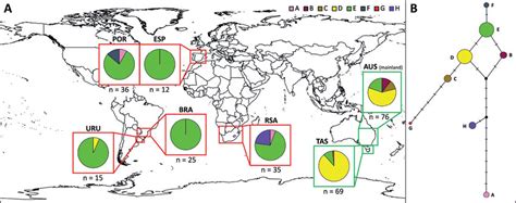 Haplotypes Based On Chloroplast Microsatellites A Geographical