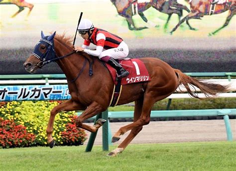 【オールカマー】3冠牝馬デアリングタクト復活なるか 日刊ゲンダイ競馬