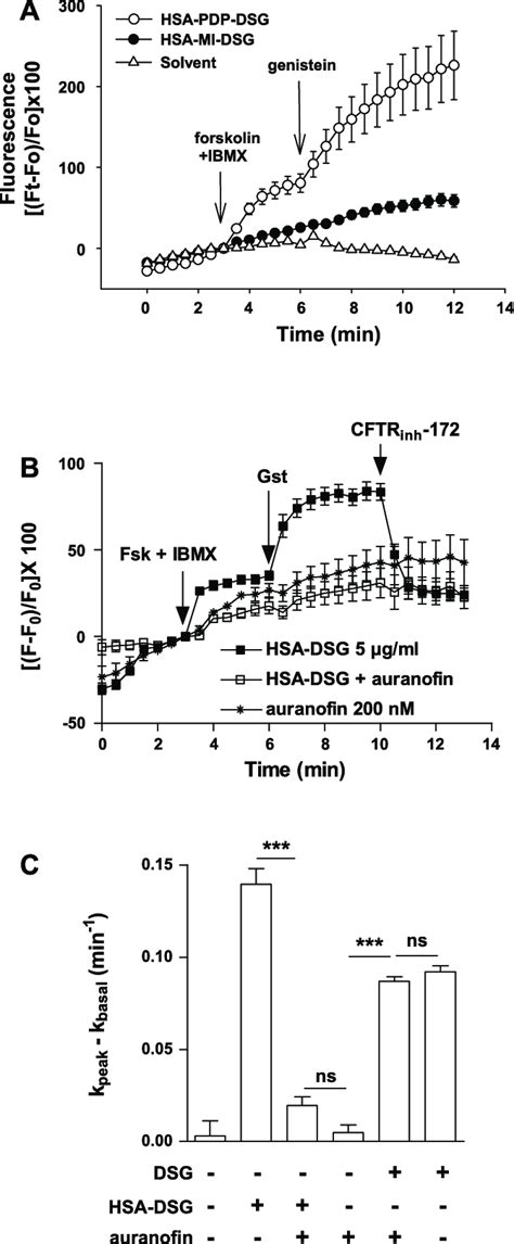 Crucial Role Of Selenium Dependent Oxidoreductases In The Intracellular Download Scientific