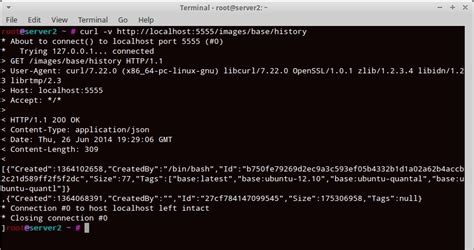 8 Docker Remote Api Csdn博客