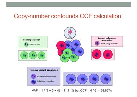 Investigating The Evolution Of Structural Variation In Cancer Speaker