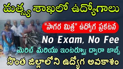 Ap Government Jobs 2023 No Fee No Exam Ap మత్స్య శాఖలో సాగర మిత్ర