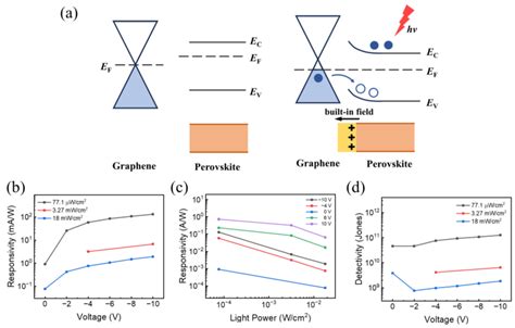 Single Crystal Perovskitegraphene Self Driven Photodetector With Fast Response Speed