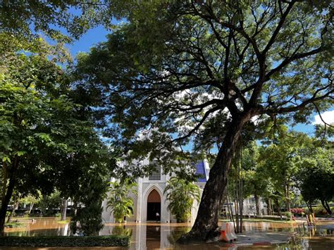 💙ร่วมแรงร่วมใจ💕 ให้ Prc โรงเรียนปรินส์รอยแยลส์วิทยาลัย