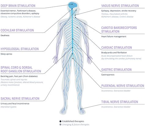 New Frontiers In Implantable Neuromodulation Therapies Cdp