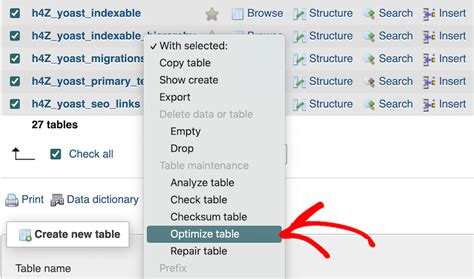 Come Ottimizzare Il Database Di WordPress Un Sito Veloce In 10 Passi