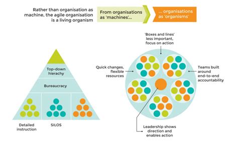 Trademarks Of Agile Organisations Factor10 Consulting