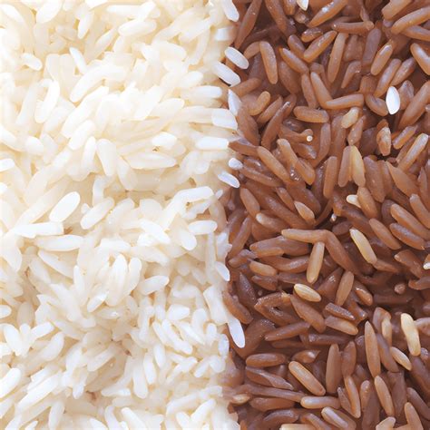 The Great Rice Debate Brown Rice Vs White Rice · Creative Fabrica