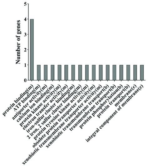 Go Term Analysis Of Genes Within 50 Kb Upstream And Downstream Of