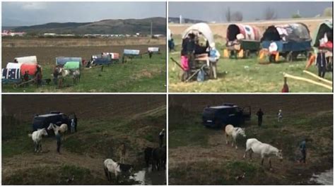 FOTO Două femei care cerșeau în zona șoselei de centură din Alba Iulia