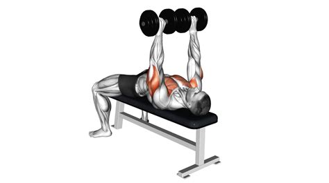 5 Best V Shaped Buttocks Exercises For A Perkier Peach Workout Guru