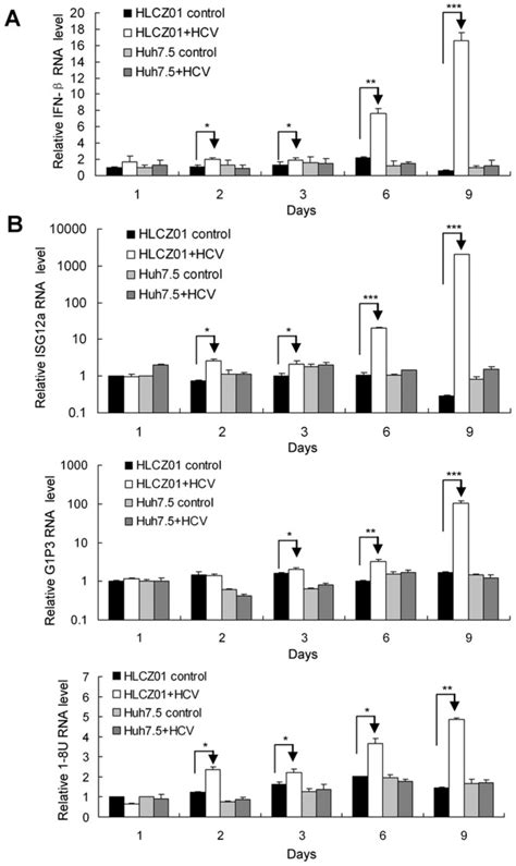 A Kinetics Of Ifn β In Hcv Infected Hlcz01 Cells Hlcz01 And Huh75