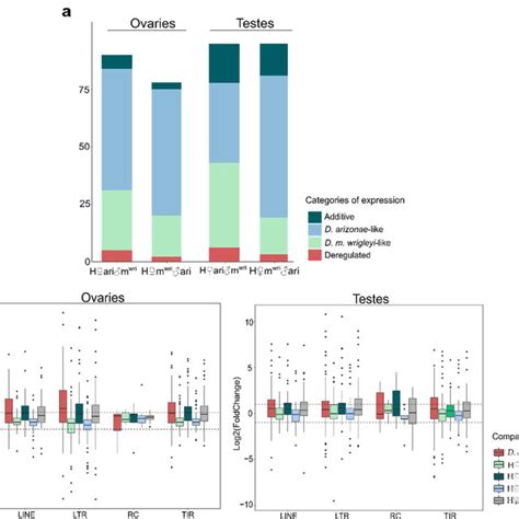 Te Expression In Hybrids Gonads A The Total Number Of Te Families In