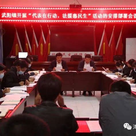 武阳镇人大召开代表在行动法援惠民生活动动员会 人民 群众 会议