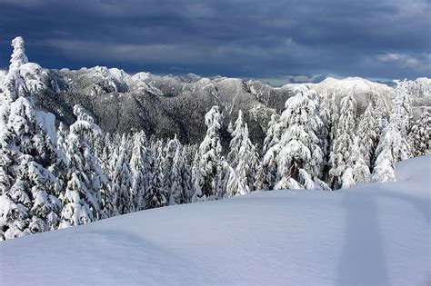 Invierno nieve árboles montañas comió Canadá Columbia Británica