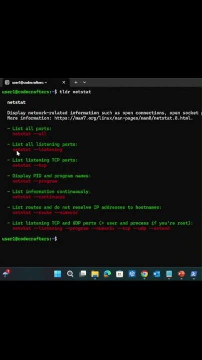 Mastering Linux Netstat A Quick Guide In 60 Seconds Shorts Linux Youtube