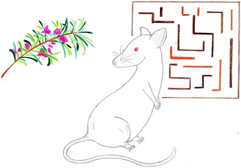 Flowers For Algernon By Tershdersh On Deviantart