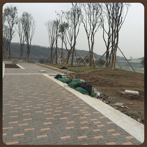 雨天透水砖的优点 佛山市石陶陶瓷有限公司