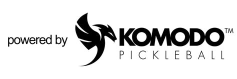 Raise Your Dinking Iq