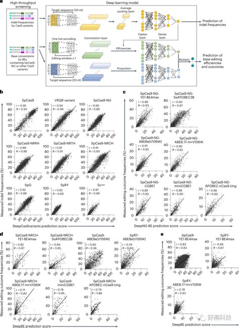 基因编辑工具分享（九） Base Editing的sgrna如何设计筛选？ 知乎