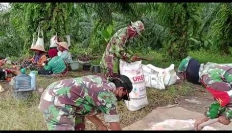 Program Tni Ad Membantu Pemerintah Melalui Kampung Pancasila Dan