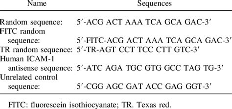Sequences Of Oligodeoxynucleotides Download Table