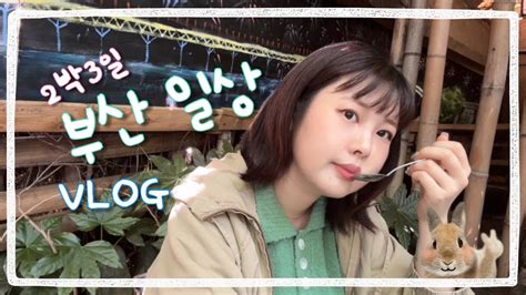 다이어터 호소인의 먹방으로 가득 찬 부산 일상 Youtube