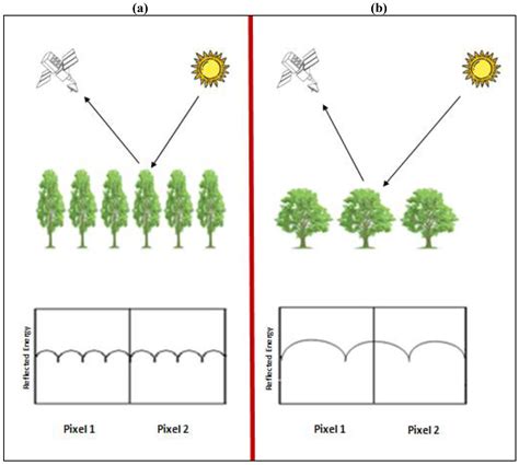 Effects Of Spatial And Spectral Resolutions On Fractal Dimensions In Forested Landscapes