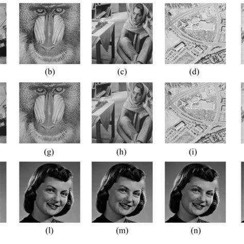 Diagram Of The Inverse Algorithm Download Scientific Diagram