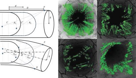 Feature Extraction For Estimating Motion Download Scientific Diagram