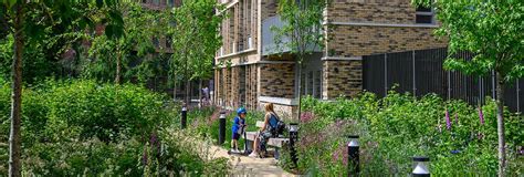 Social Rented Homes At Alexandra Gate News And Insights