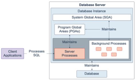 Oracle Database 19c 技术架构一 晟数 博客园