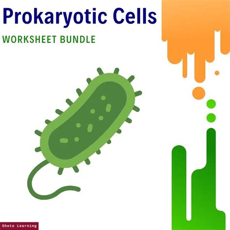 Prokaryotic Cell Qanda Mastery 20 Questions And Answers